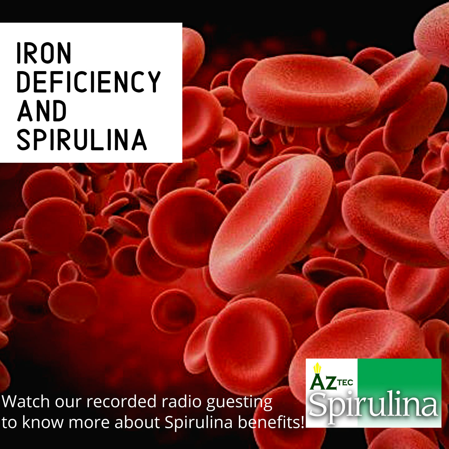 Iron Deficiency and Spirulina | Aztec Spirulina